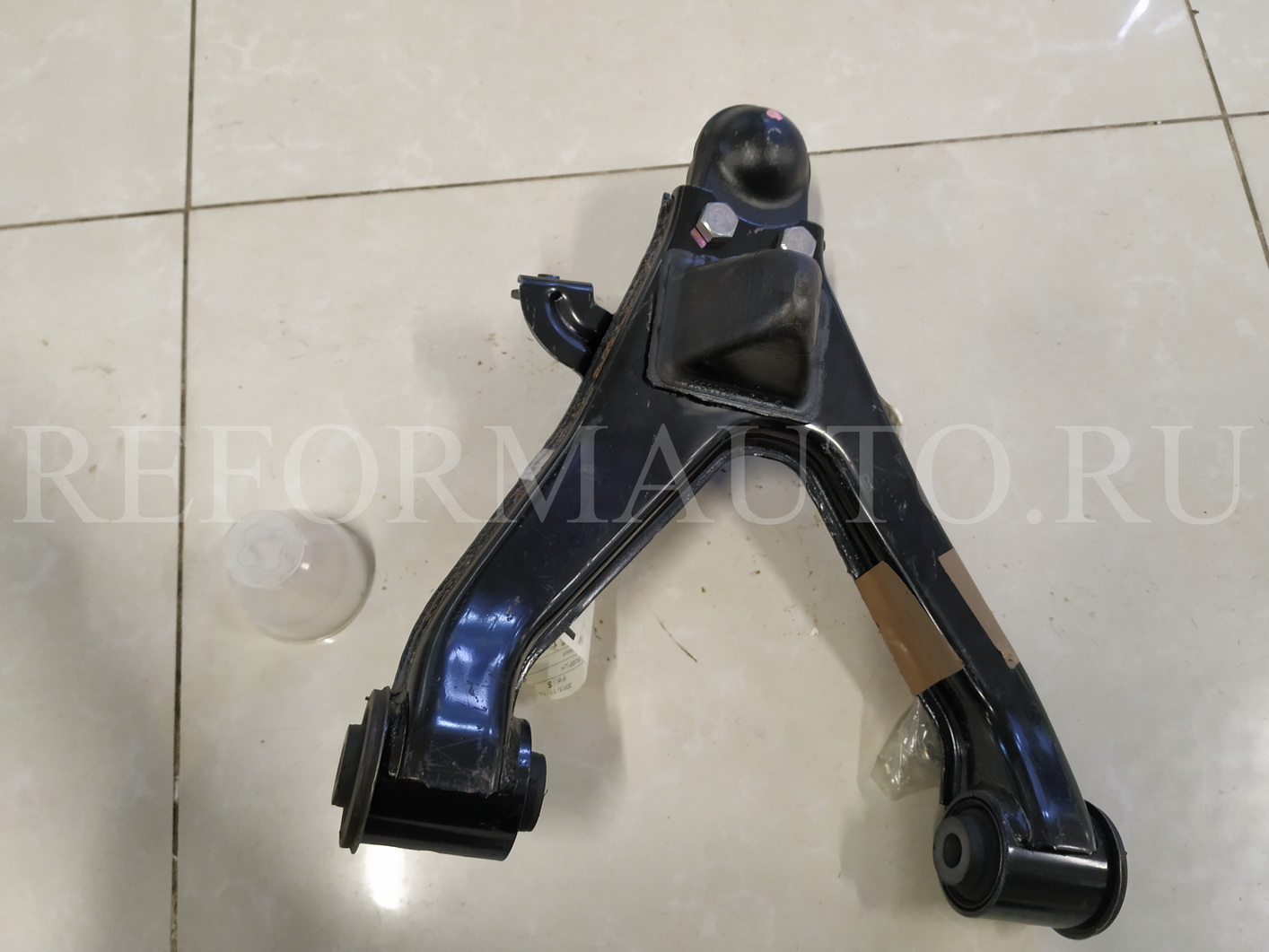 GM5596 купить запчасть по низкой цене